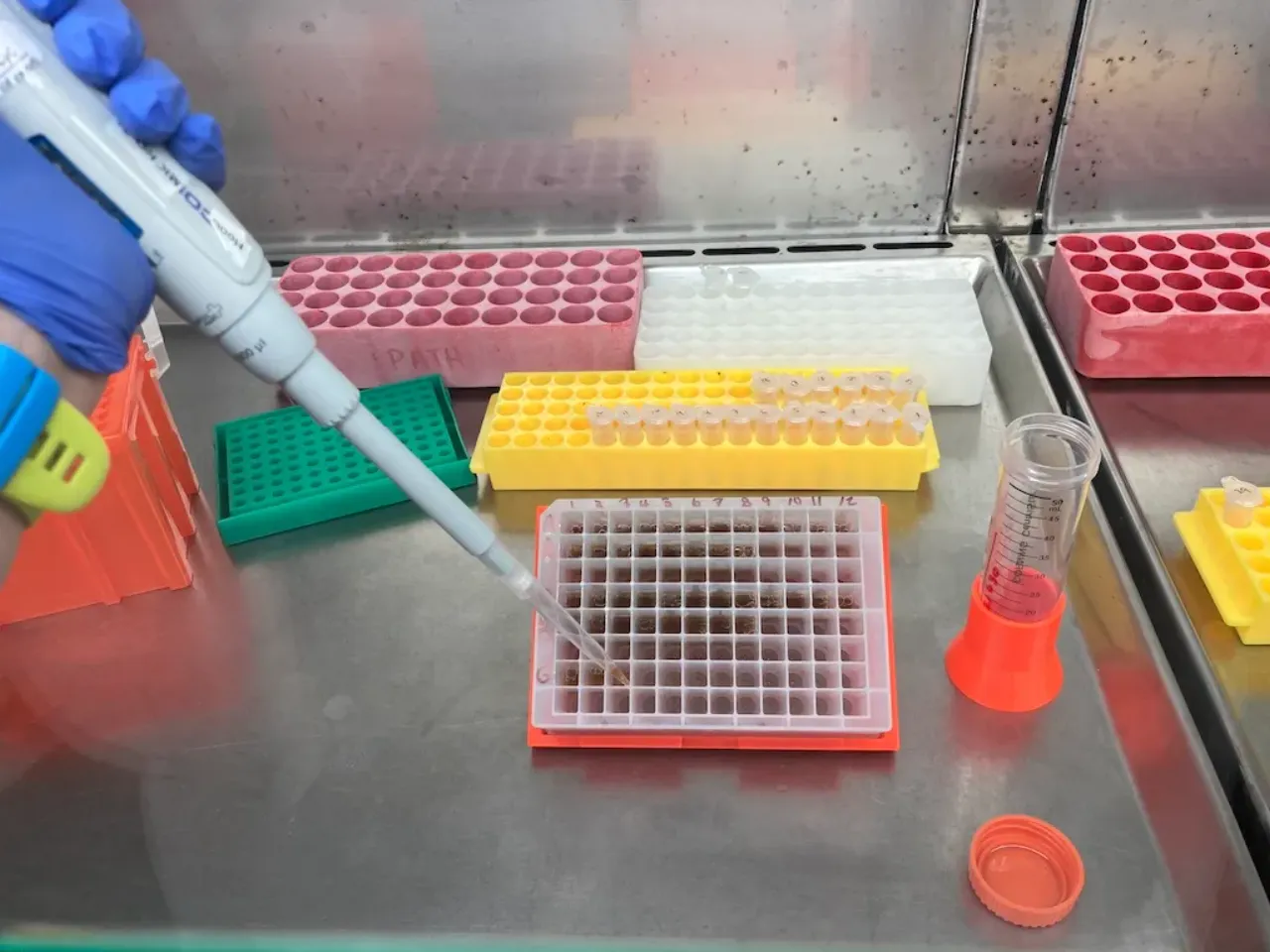 96 Deep Well 38Degree PCR tray stand by VK3BQ | Download free STL model ...
