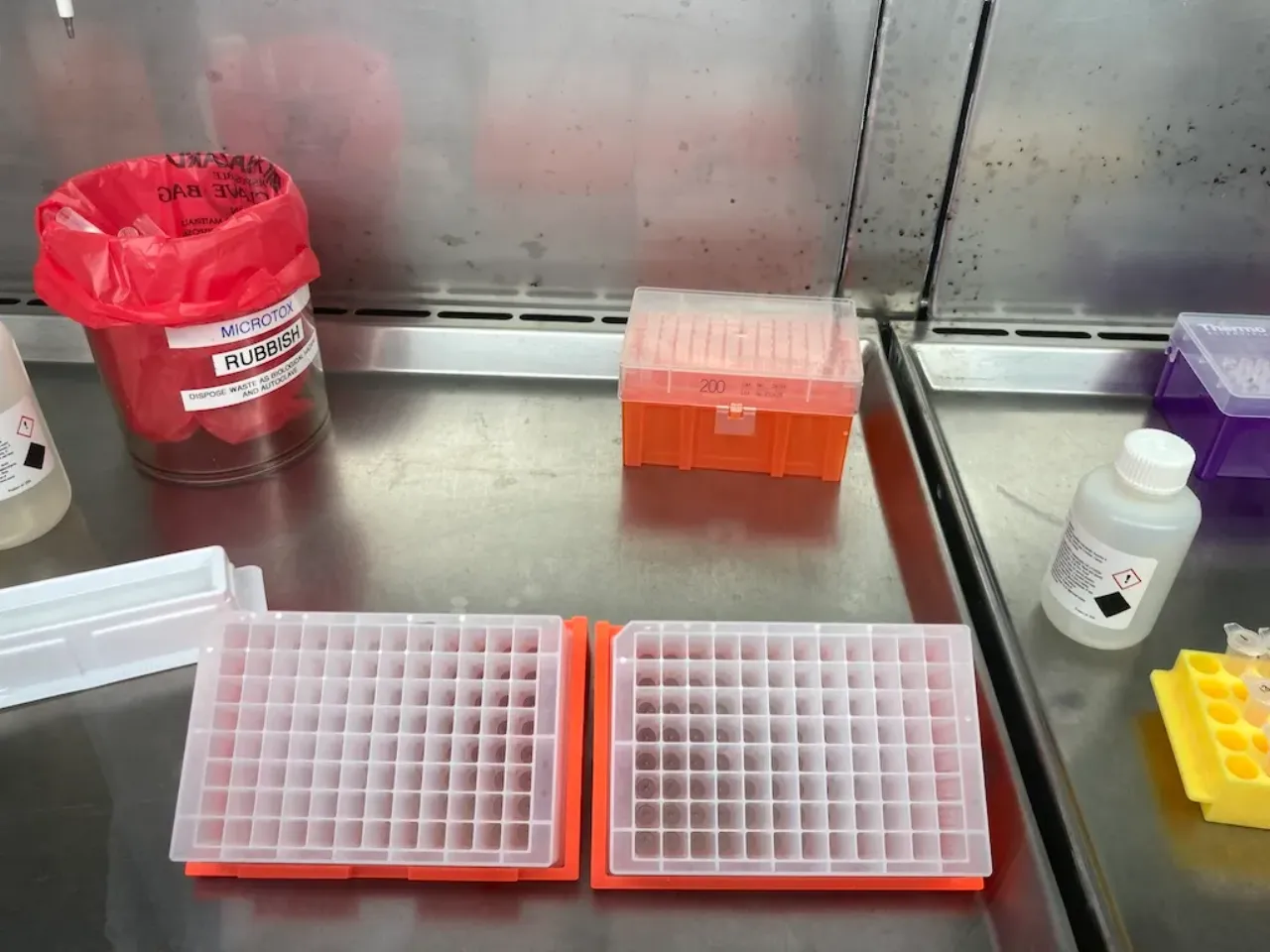 96 Deep Well 38Degree PCR tray stand by VK3BQ | Download free STL model ...