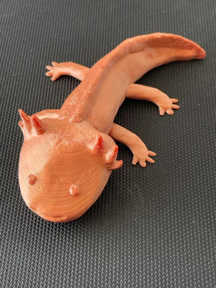 Axolotl by Magr099 | Download free STL model | Printables.com