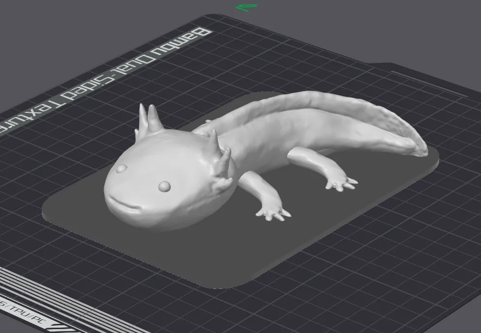 Axolotl by Magr099 | Download free STL model | Printables.com