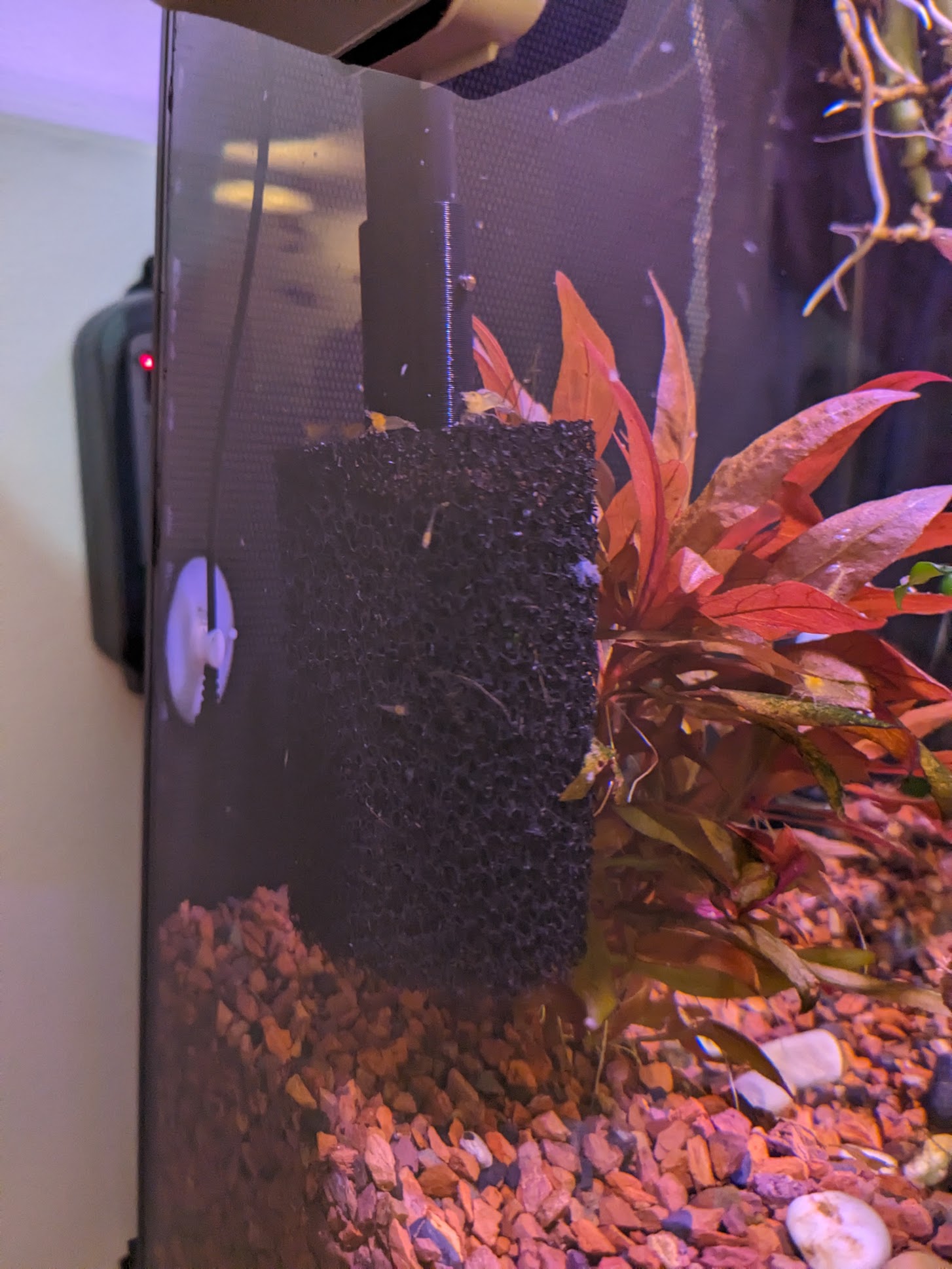 Intake Adapter for Fluval 107-207 to fit Aquarium Coop Medium pre ...