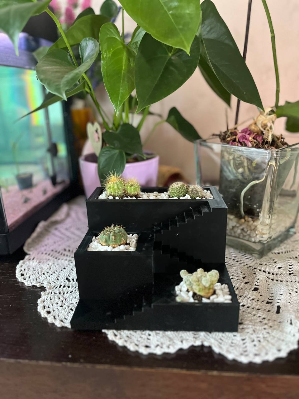 3D-Printed Succulent and Cacti Planter: A Miniature Oasis by ziovlad ...