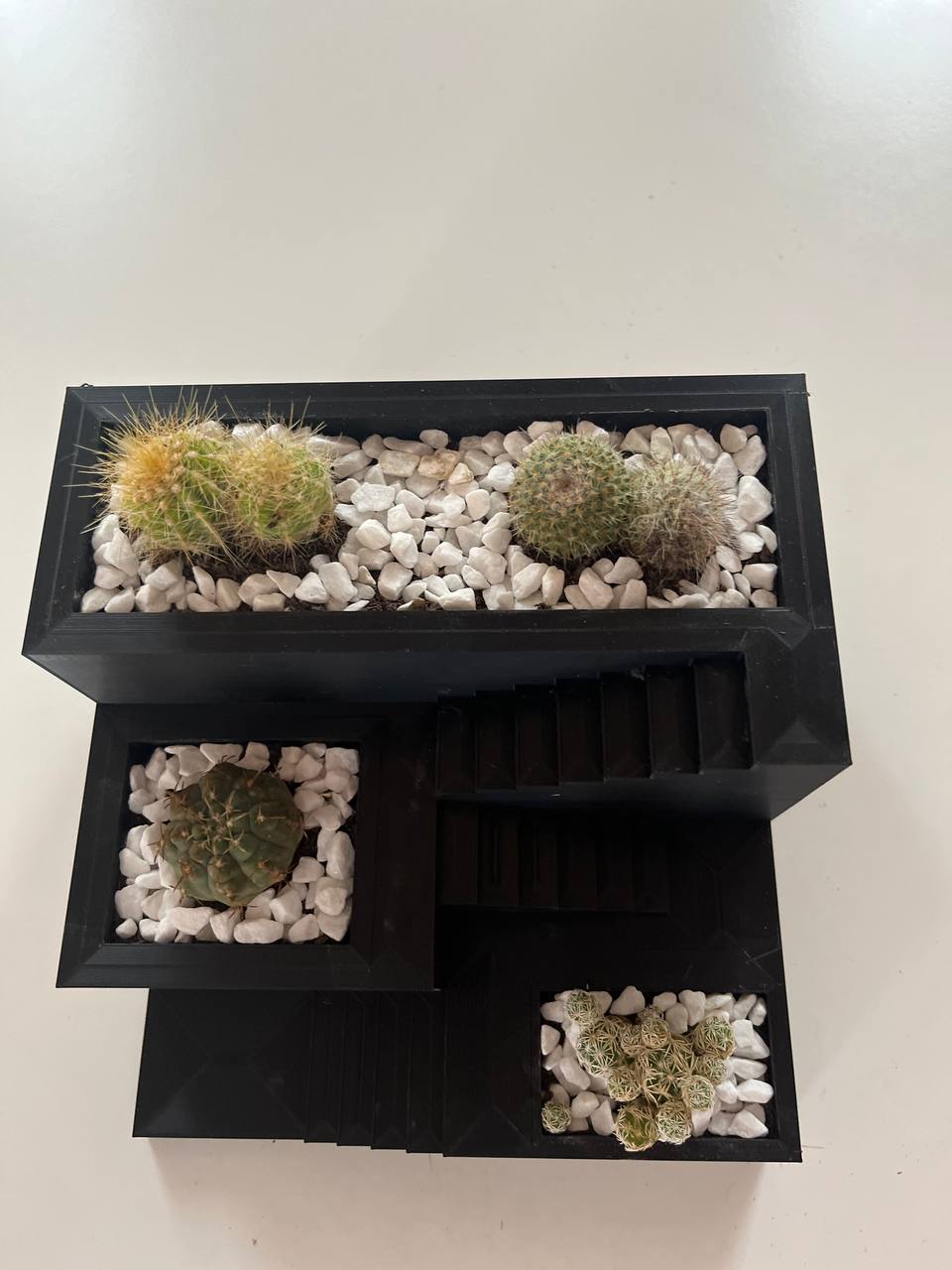 3D-Printed Succulent and Cacti Planter: A Miniature Oasis by ziovlad ...
