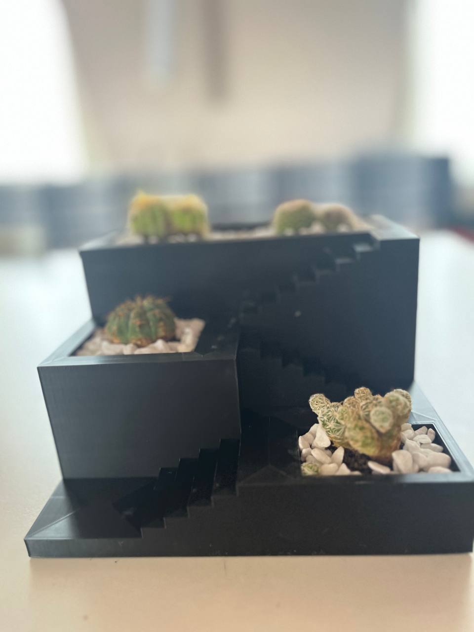 3D-Printed Succulent and Cacti Planter: A Miniature Oasis by ziovlad ...
