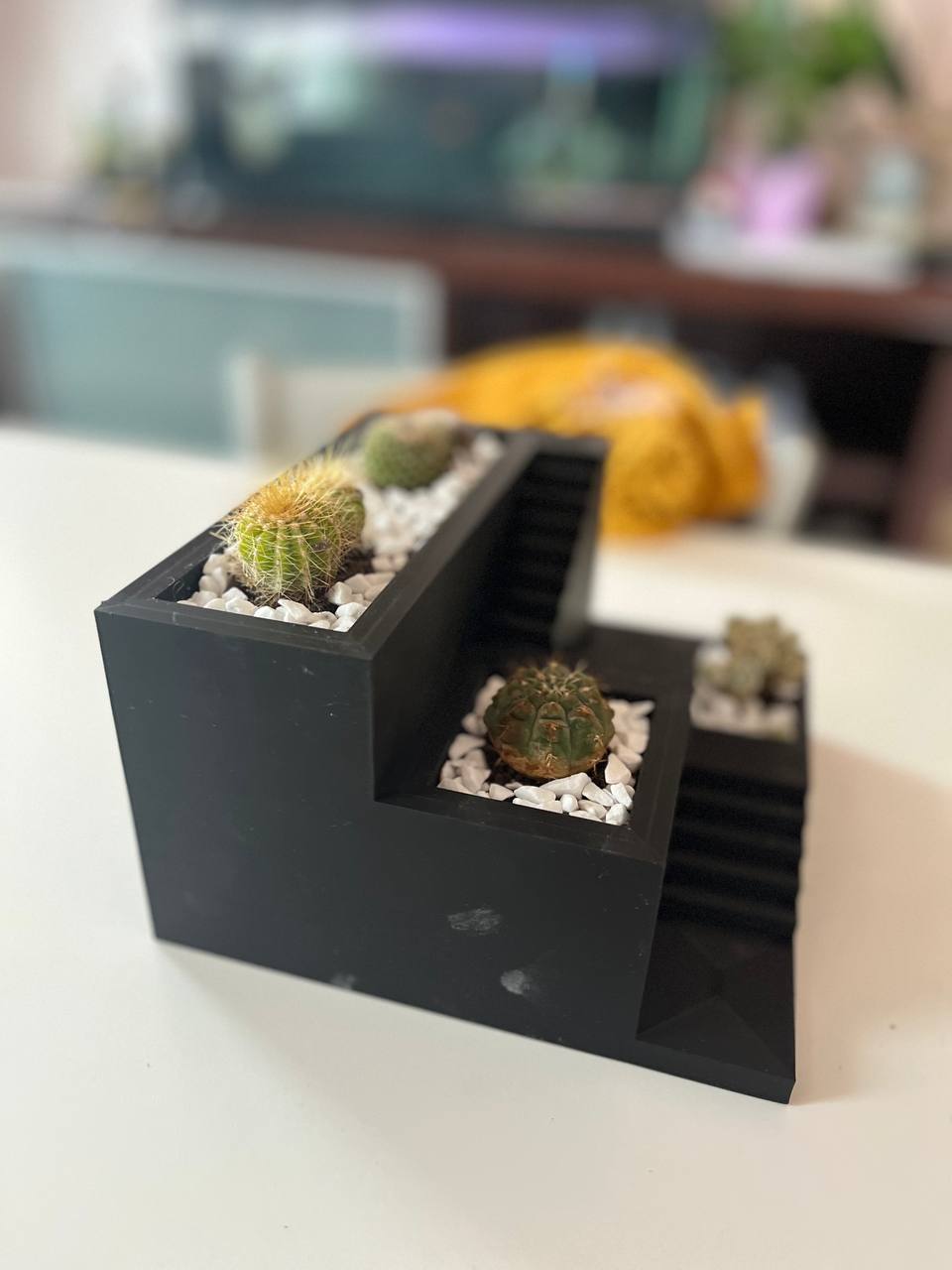 3D-Printed Succulent and Cacti Planter: A Miniature Oasis by ziovlad ...