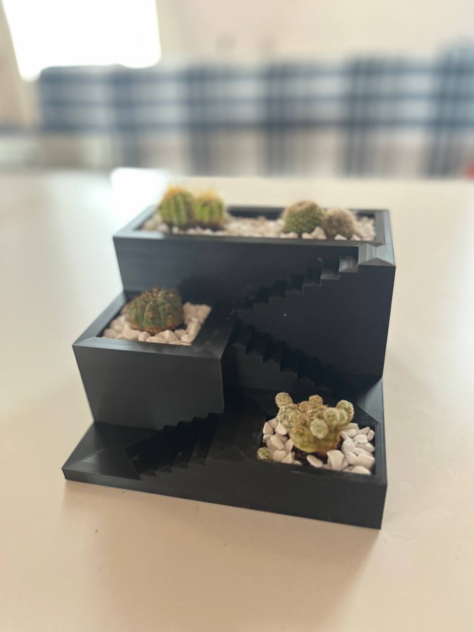 3D-Printed Succulent and Cacti Planter: A Miniature Oasis by ziovlad ...