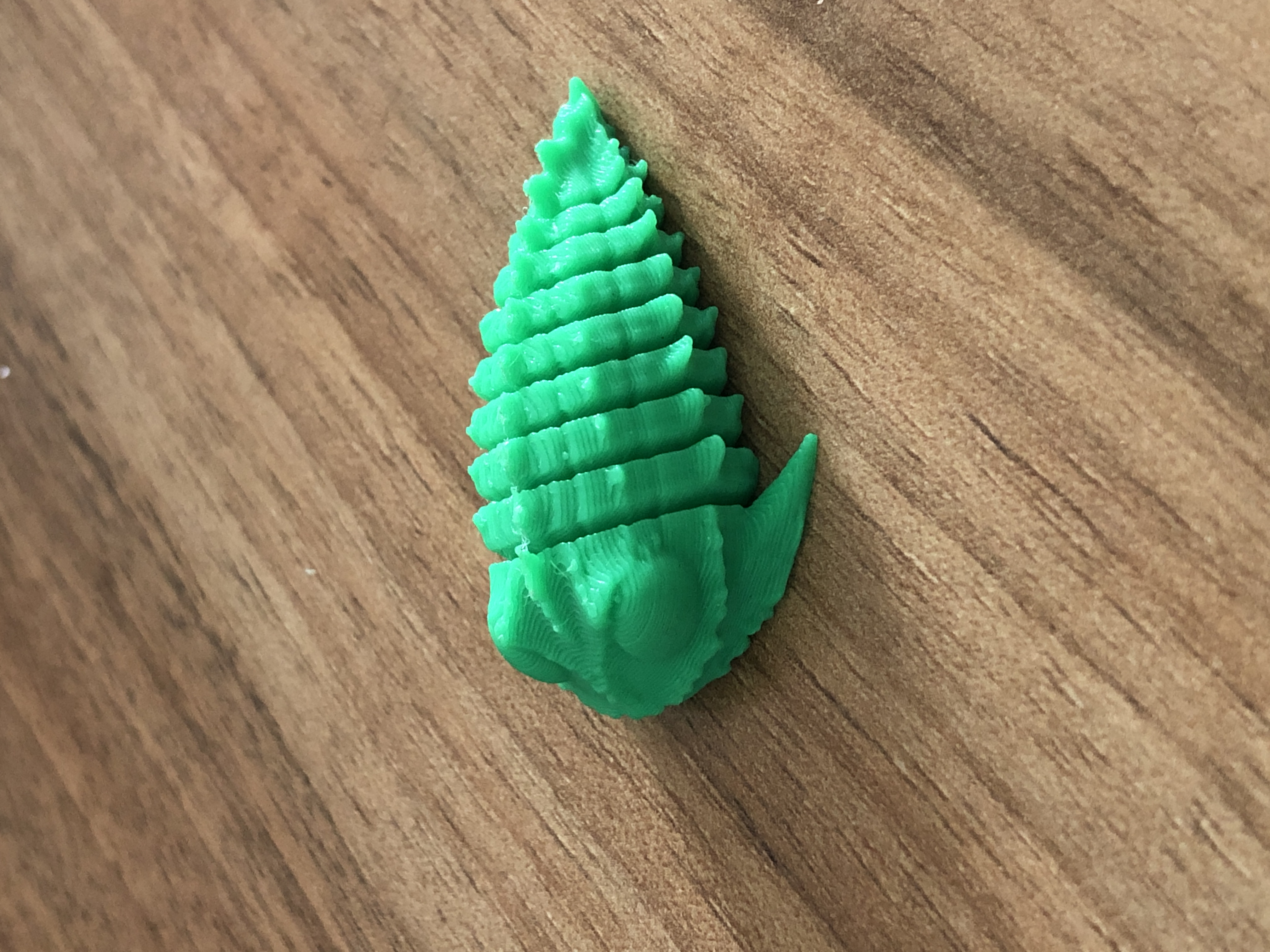 Trilobite by zdenekn@email.cz | Download free STL model | Printables.com