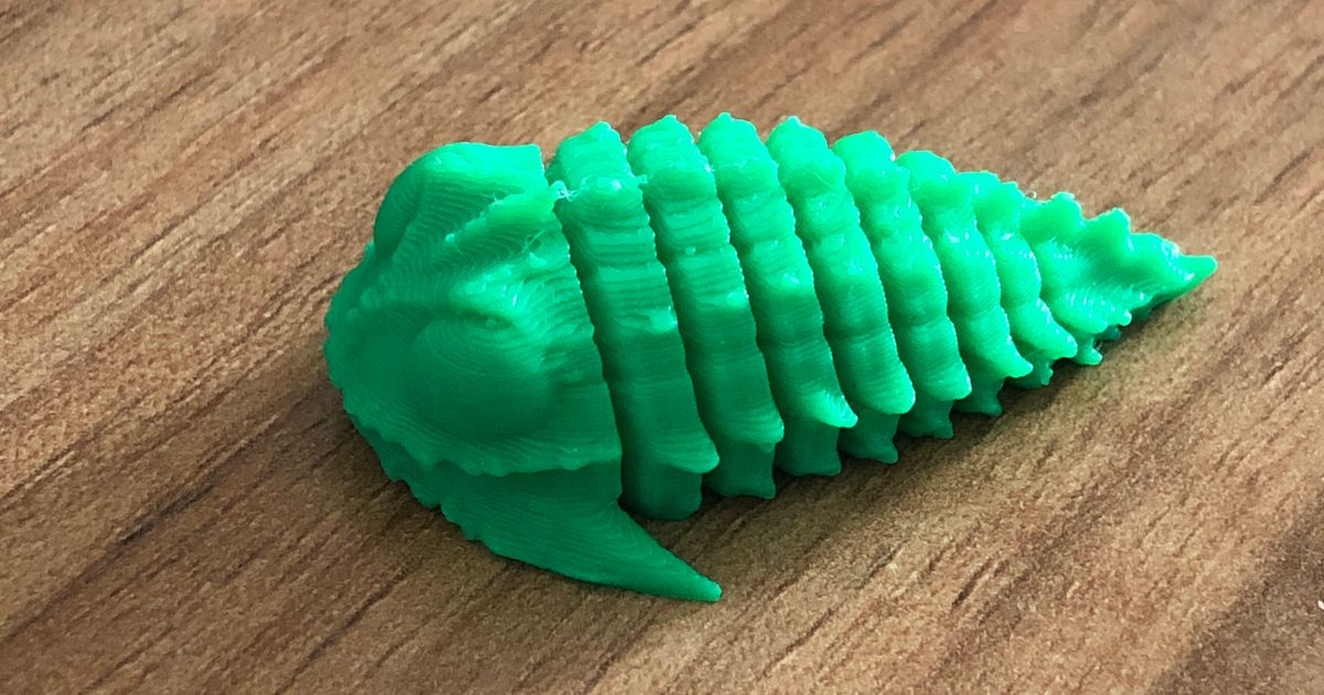 Trilobite by zdenekn@email.cz | Download free STL model | Printables.com