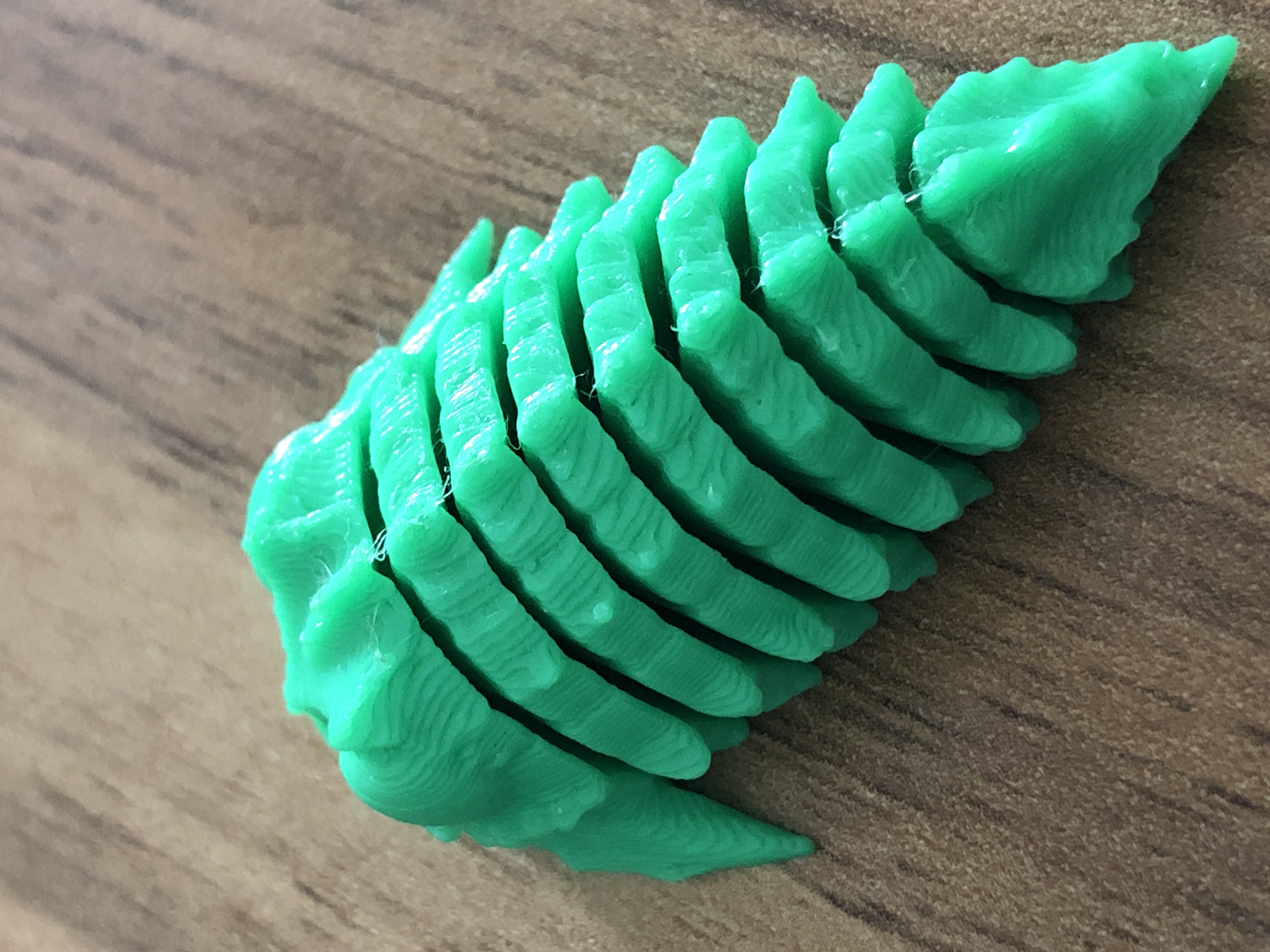 Trilobite by zdenekn@email.cz | Download free STL model | Printables.com