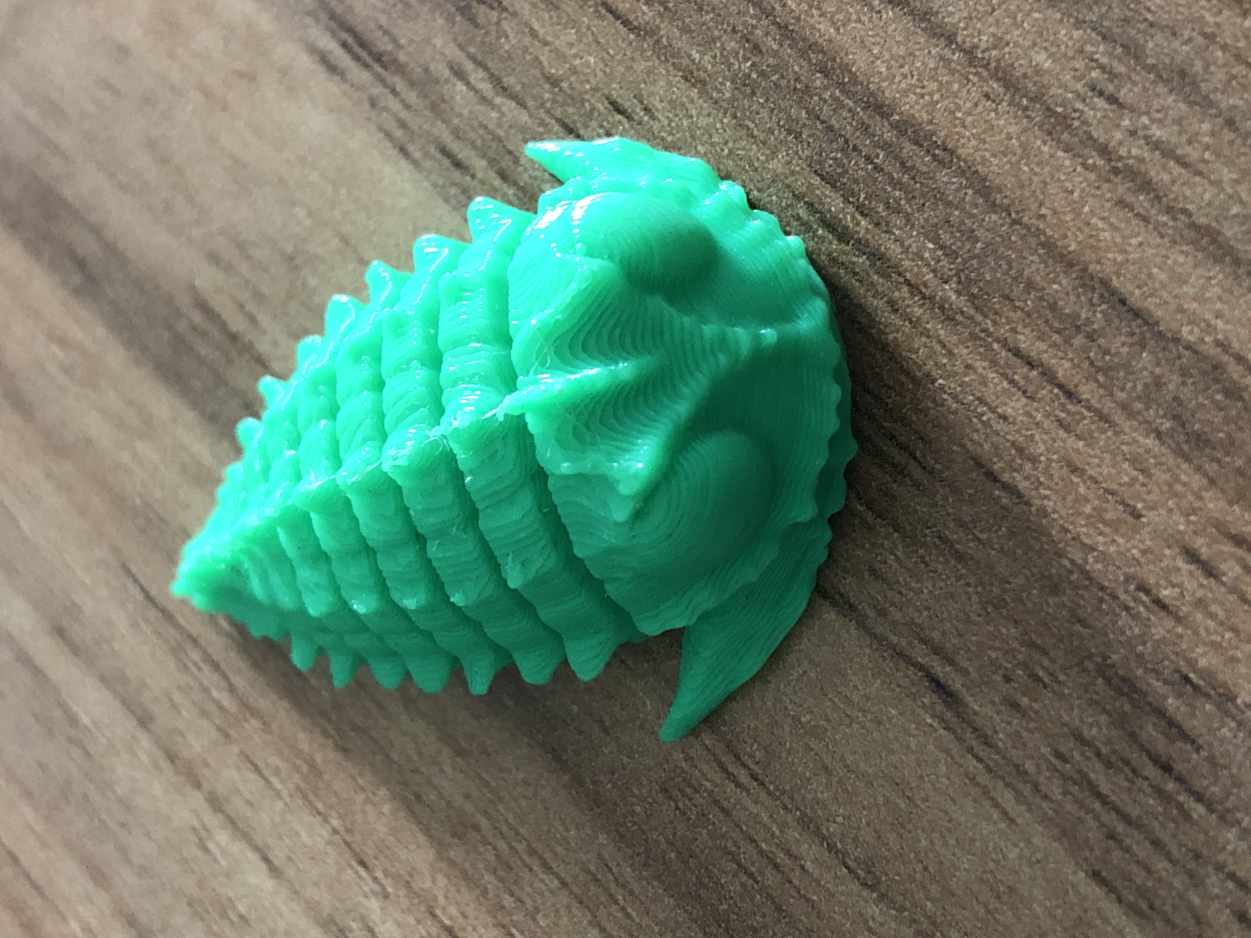 Trilobite by zdenekn@email.cz | Download free STL model | Printables.com
