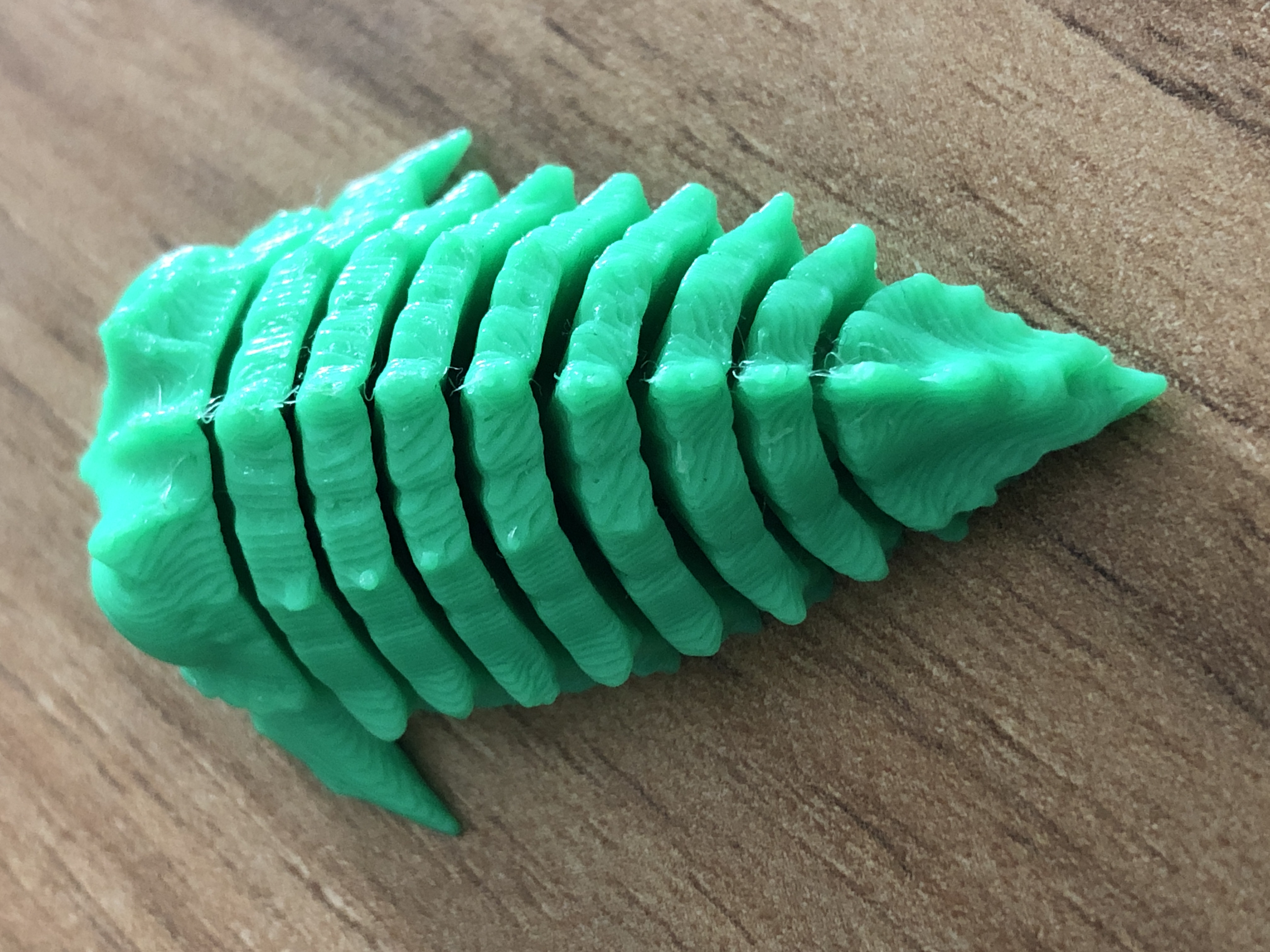Trilobite by zdenekn@email.cz | Download free STL model | Printables.com