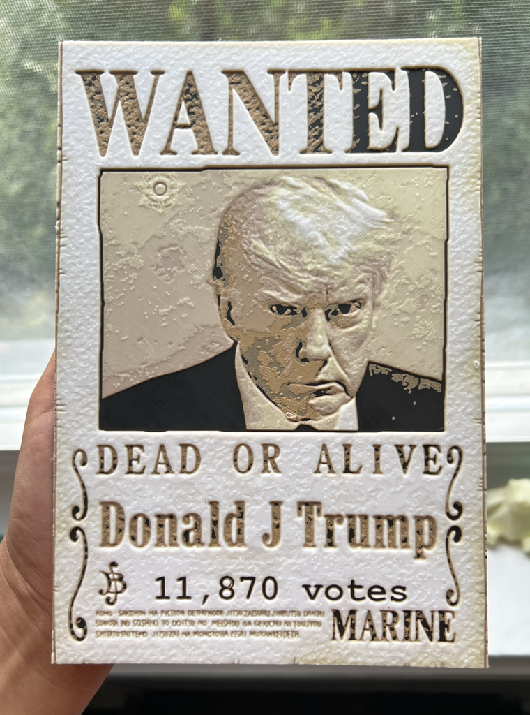 Trump Wanted Poster - One Piece Inspried - made w/ HueForge by Mathoose ...