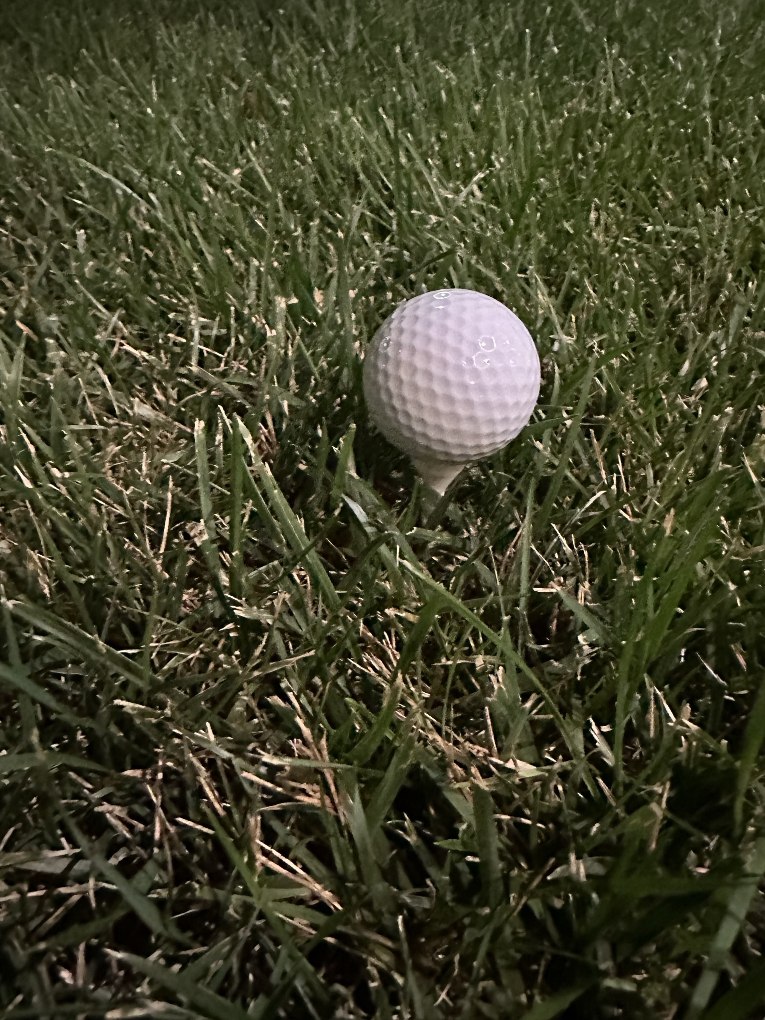 Golf Tees 6 Sizes by Memo | Download free STL model | Printables.com