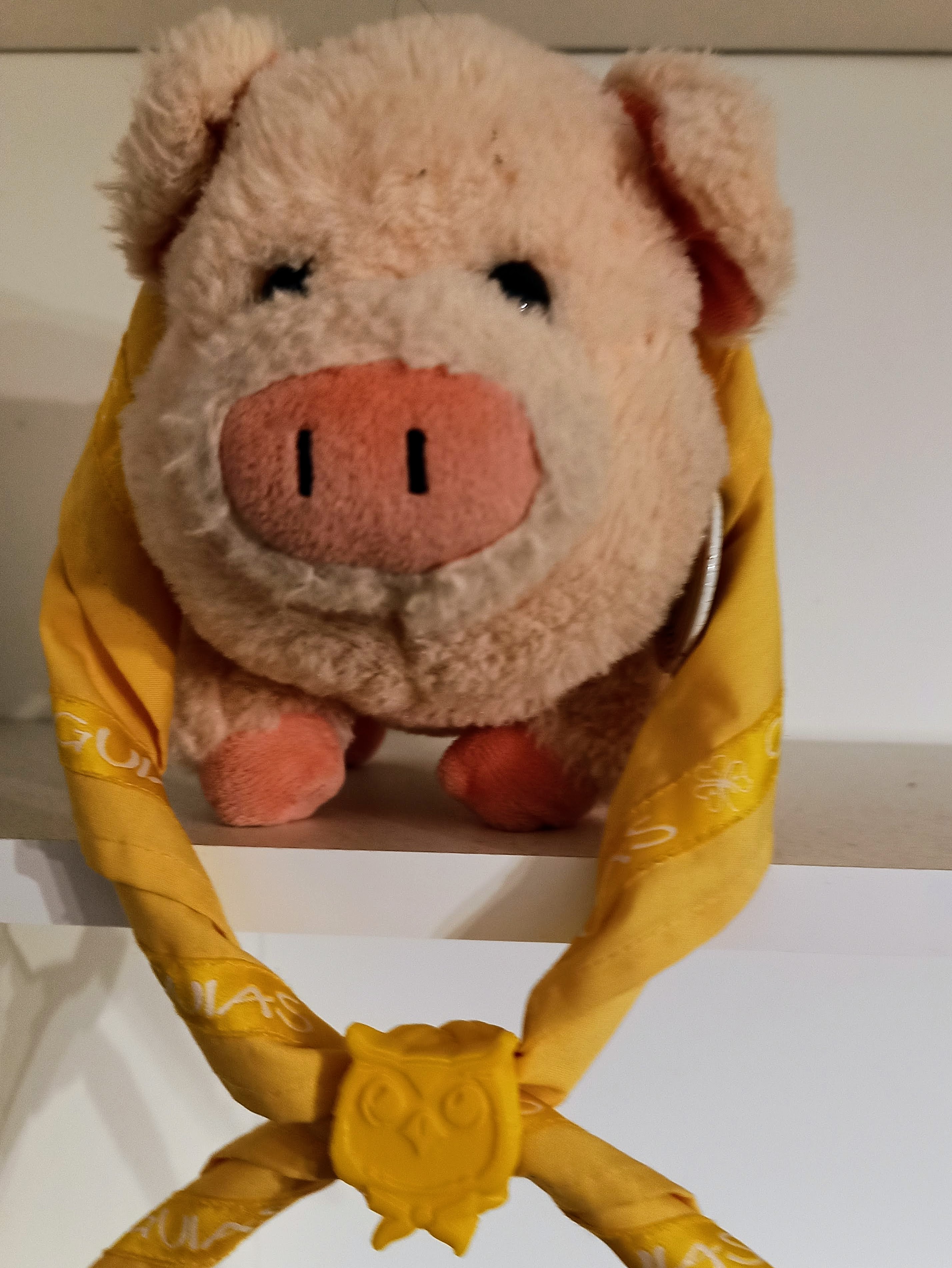 Owl woggle Scarf Ring brownies leader WAGGGS- Pasapañuelos o canuto de ...