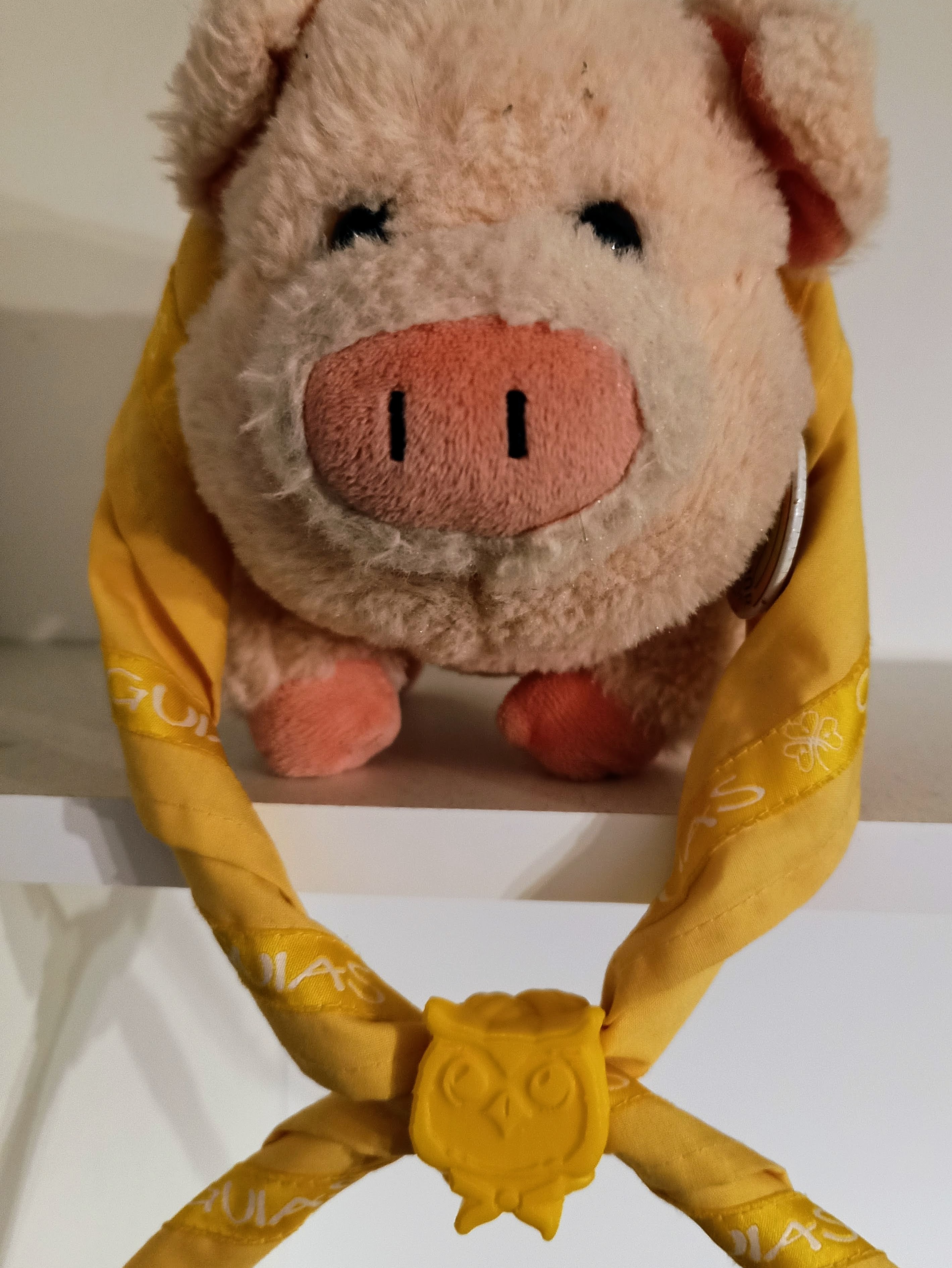 Owl woggle Scarf Ring brownies leader WAGGGS- Pasapañuelos o canuto de ...