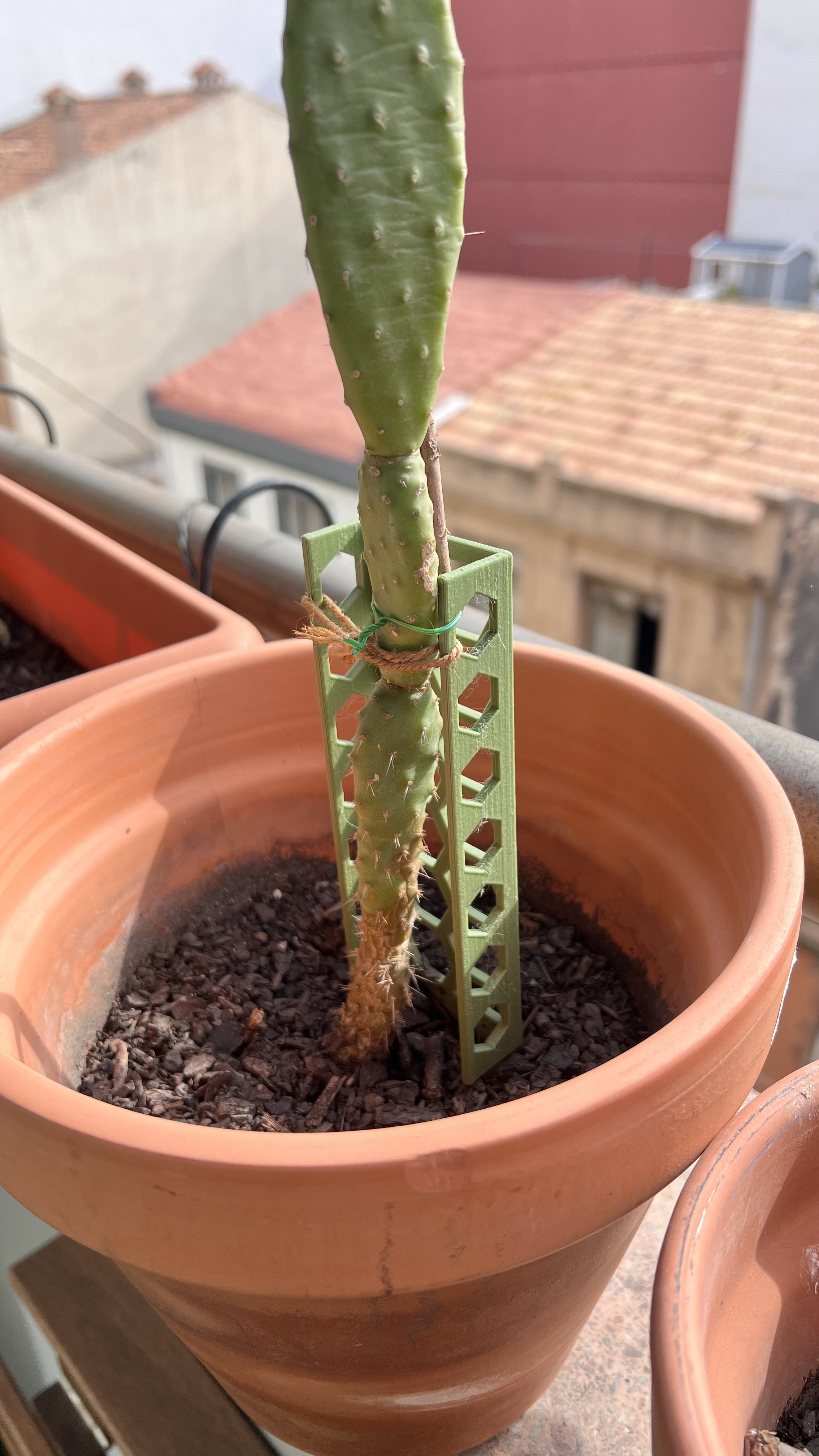 Soporte Cactus by diego-vlc | Download free STL model | Printables.com