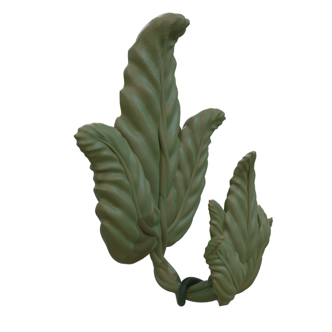 Vine Leafy hook for Command Strips by Mehdals | Download free STL model ...