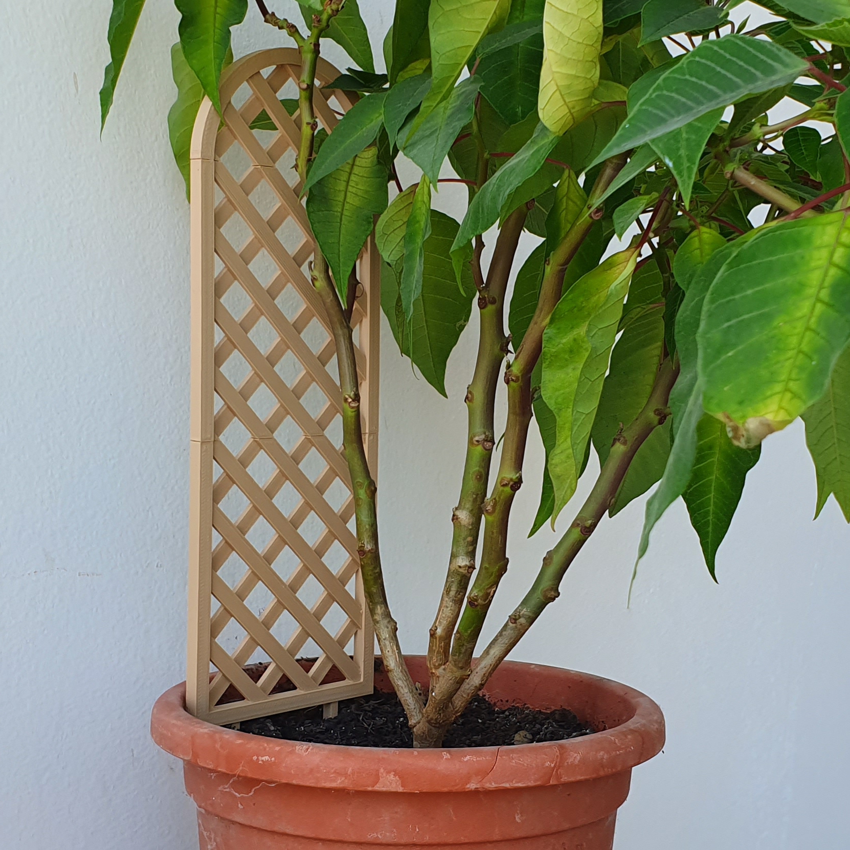 House plant trellis (single piece version & modular version) by 3d ...
