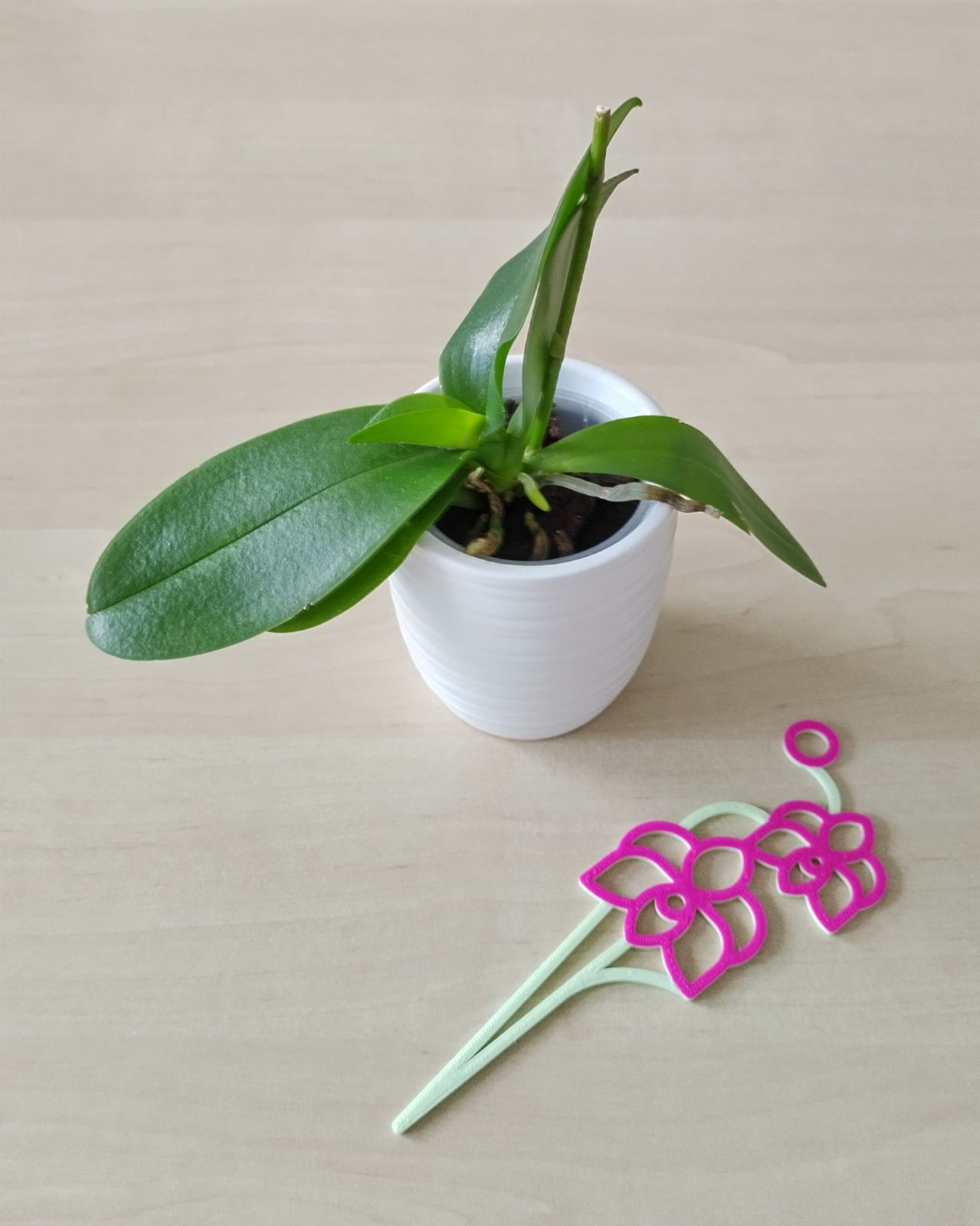 Orchid Plant Support by E3De | Download free STL model | Printables.com