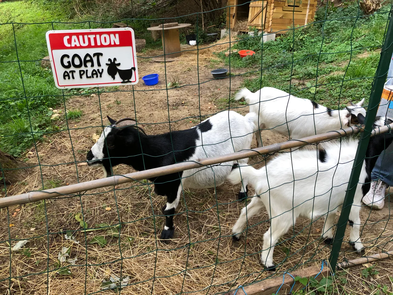 Sign for goat pens by Regis | Download free STL model | Printables.com