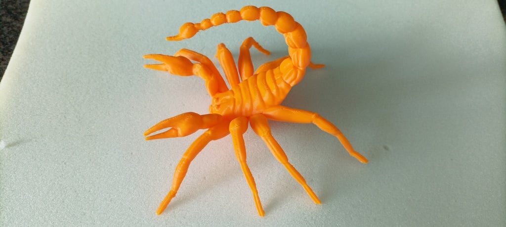 Scorpion by Raven | Download free STL model | Printables.com