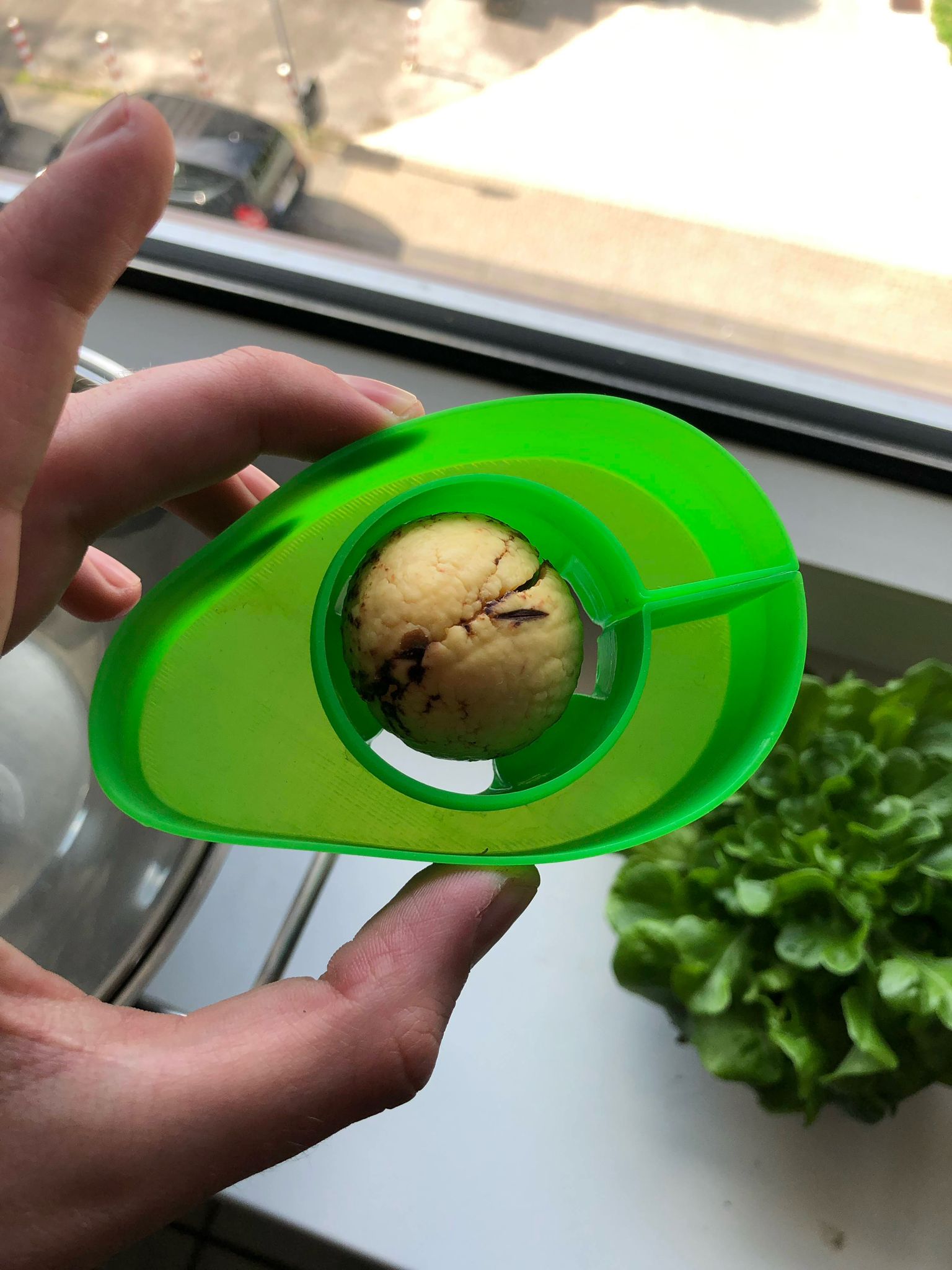 Avocaboat Avocado swimmer boat to hatch seed vasemode by Maselovic ...
