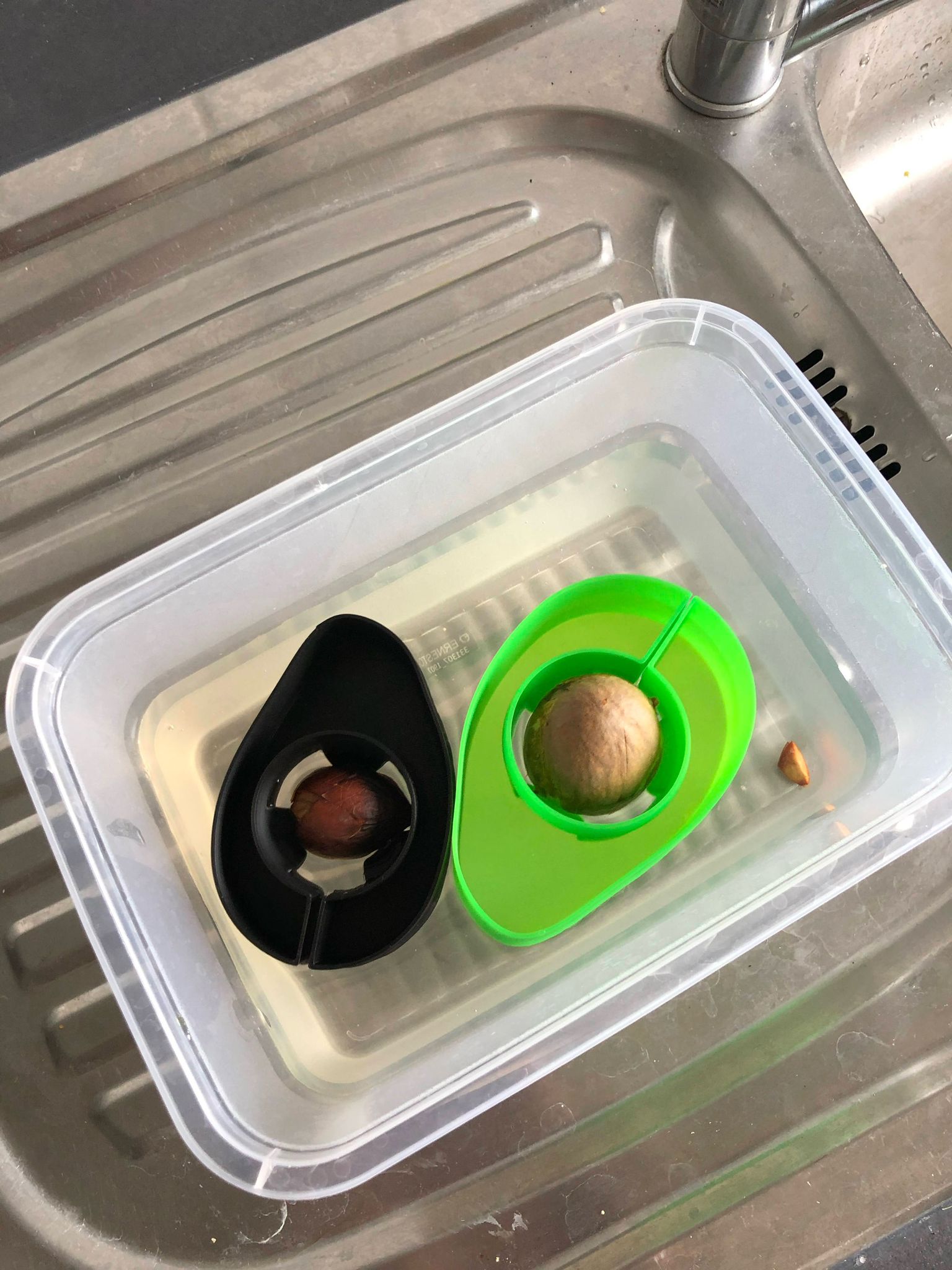 Avocaboat Avocado swimmer boat to hatch seed vasemode by Maselovic ...