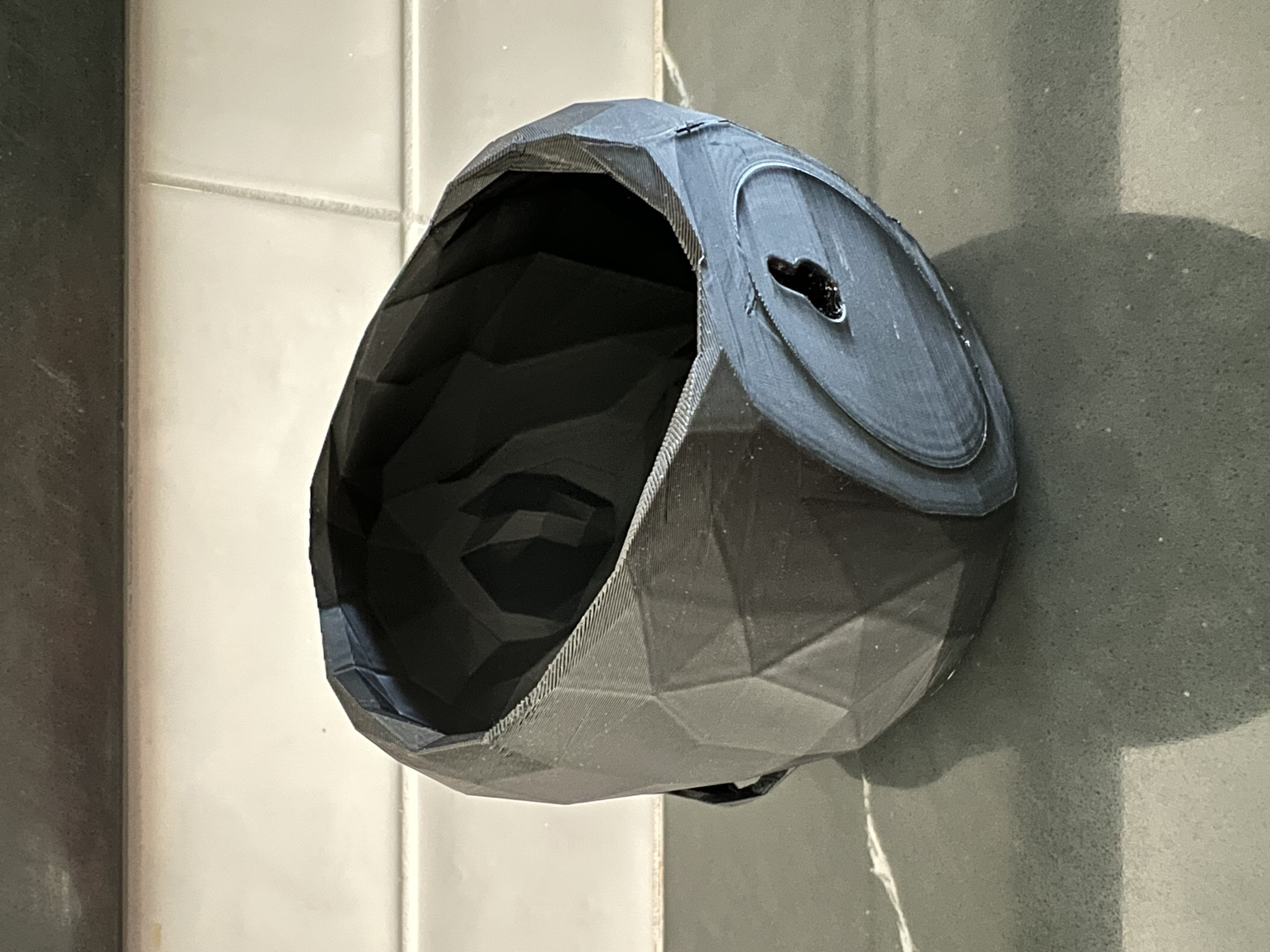 Low Poly Skull Wall Container and Hook by Ericksaurus | Download free ...