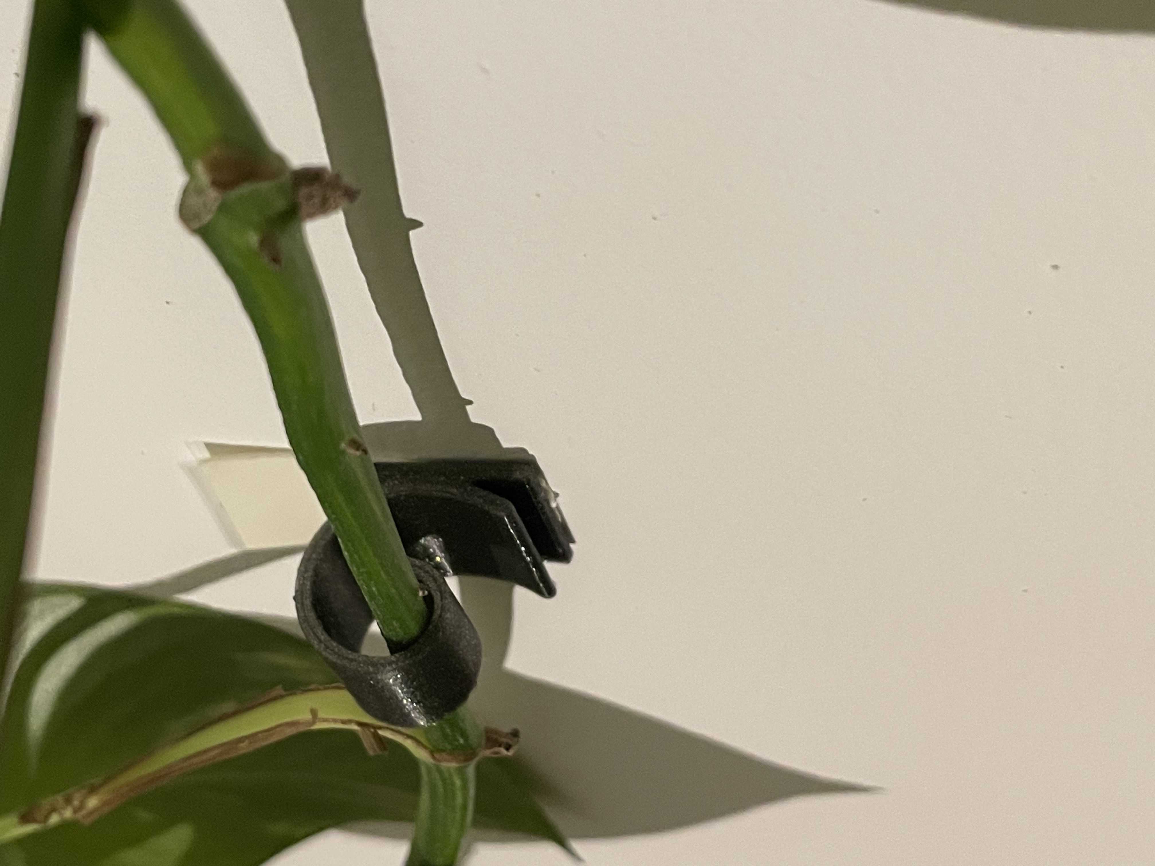 Little vine to support vines by codos | Download free STL model ...