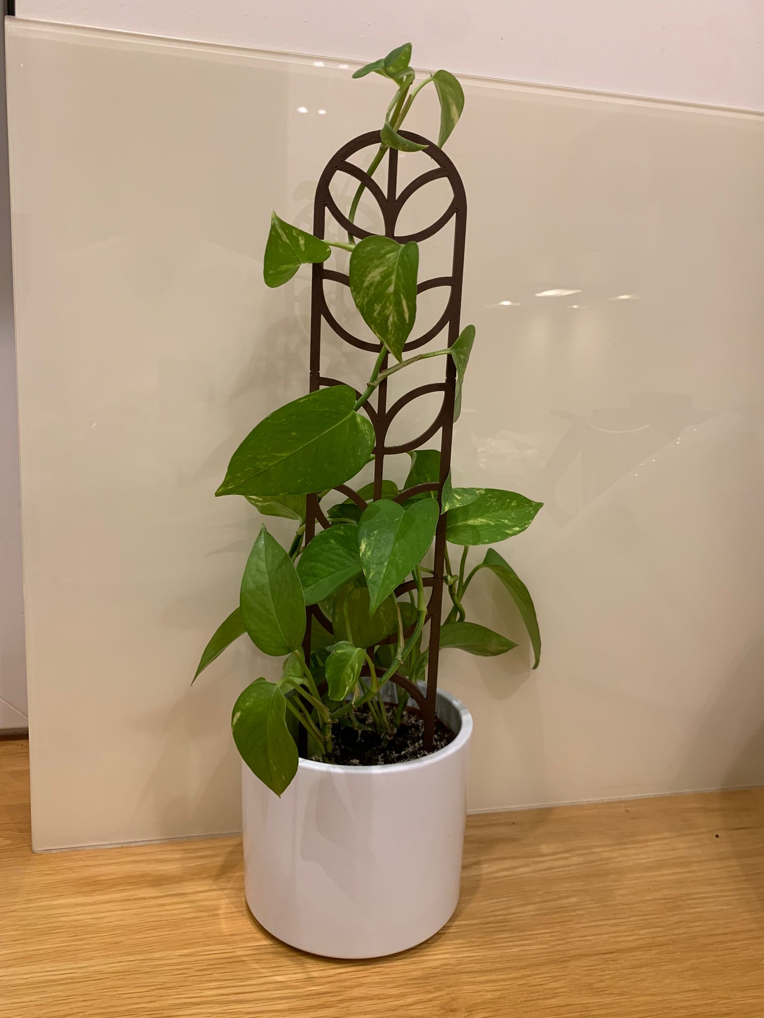 V2 Modular plant support / plant trellis by Tomek Zimoch | Download ... V2 Modular plant support / plant trellis by Tomek Zimoch | Download ...