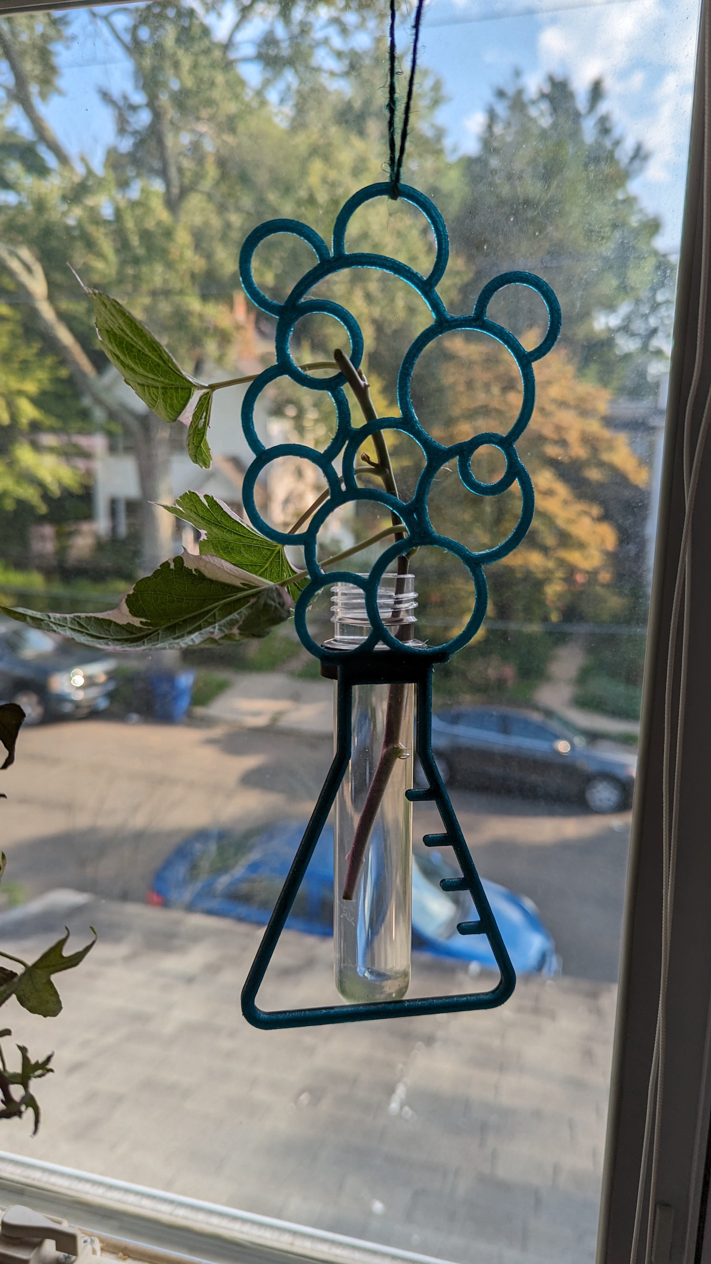 Bubble Flask Propagator by Ty10y | Download free STL model | Printables.com
