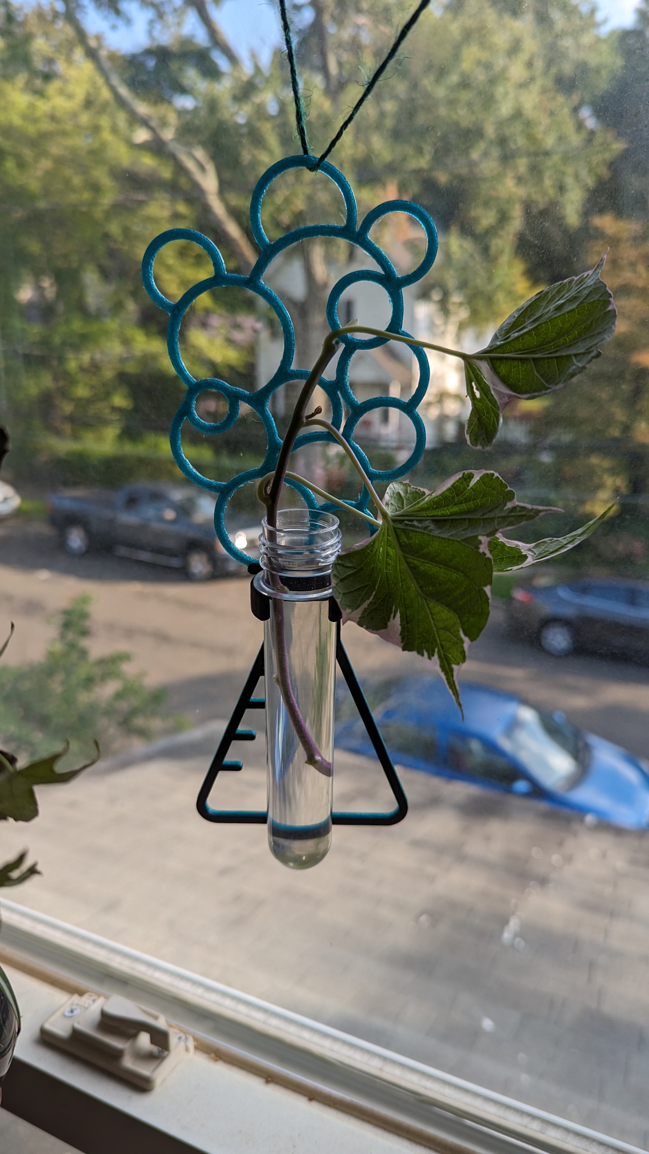 Bubble Flask Propagator by Ty10y | Download free STL model | Printables.com