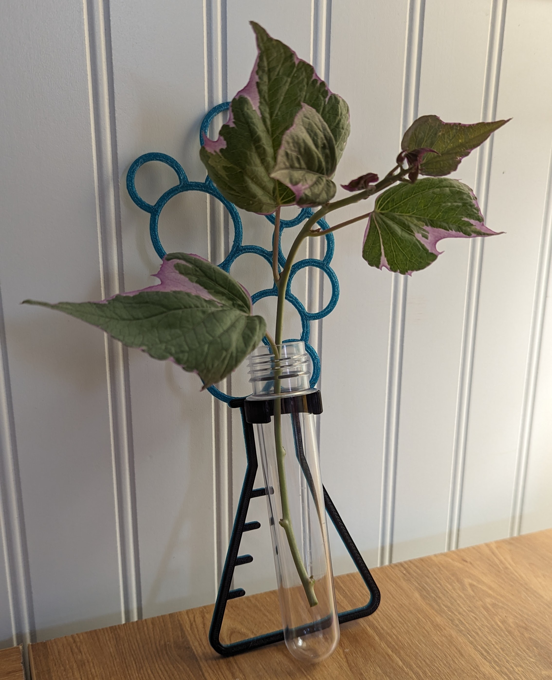 Bubble Flask Propagator by Ty10y | Download free STL model | Printables.com
