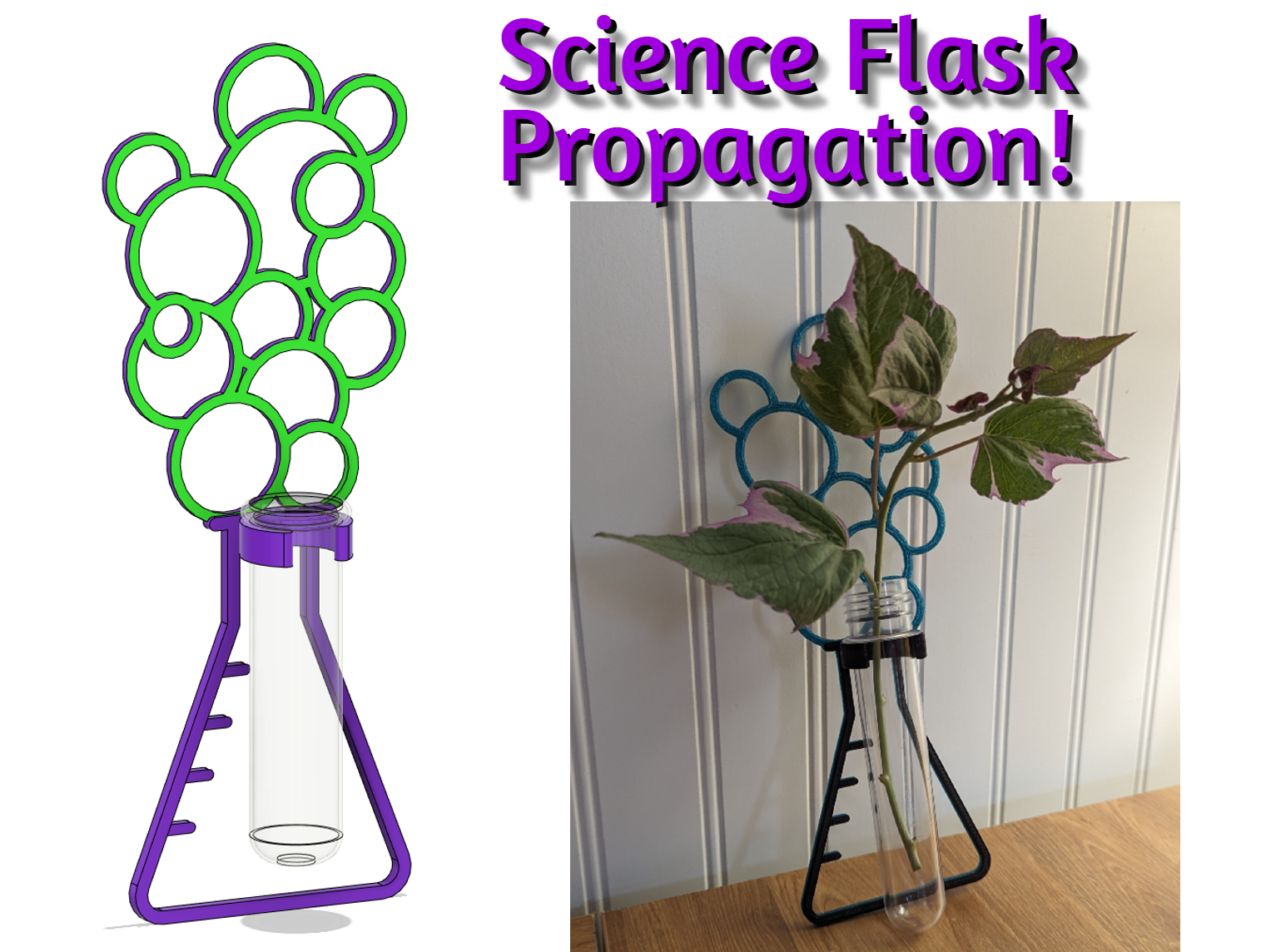 Bubble Flask Propagator by Ty10y | Download free STL model | Printables.com