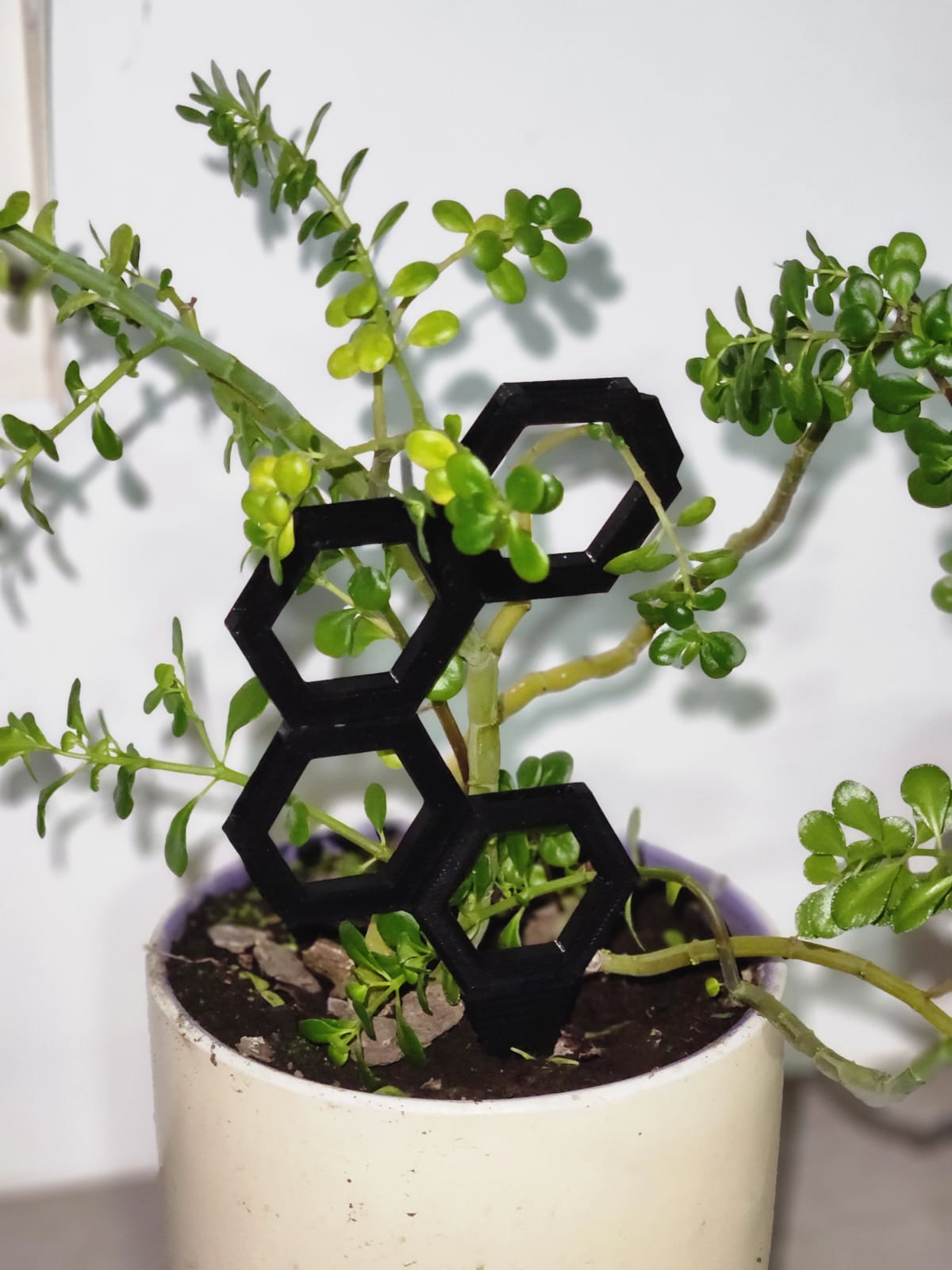 HexaGrowth: The Futuristic Modular Plant Climber by Sebastián Gómez ...