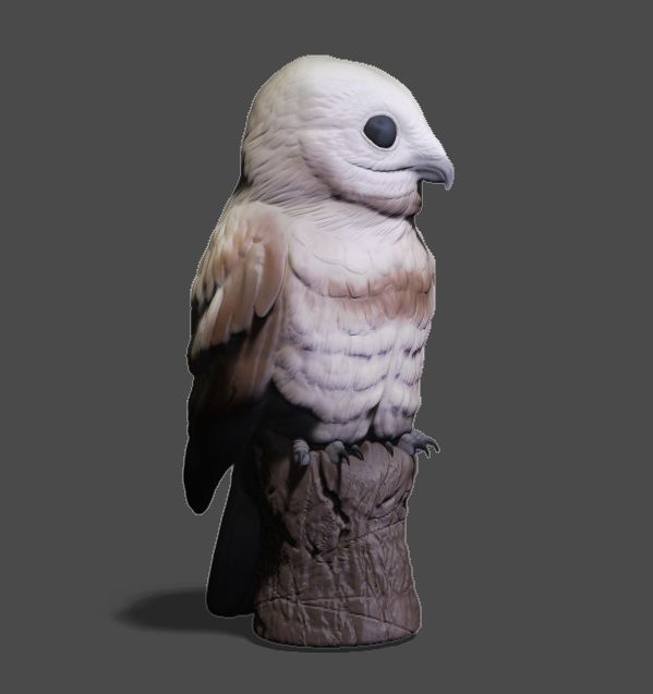 Great Potoo/Ghost Bird Statue by DragonArtist15 | Download free STL ...