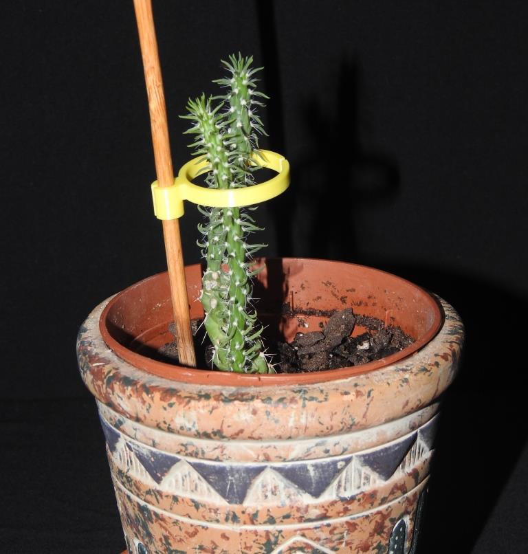 Plant Support (OpenSCAD) by SteveS42 | Download free STL model ...
