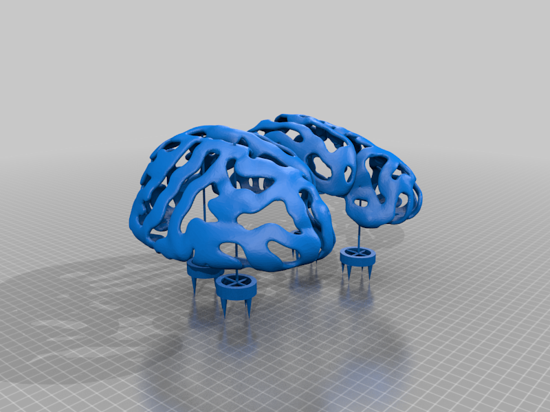 Brain Trellis by poppydovedesign | Download free STL model | Printables.com