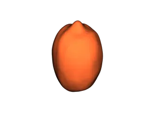Etrog by Rav Meimad | Download free STL model | Printables.com