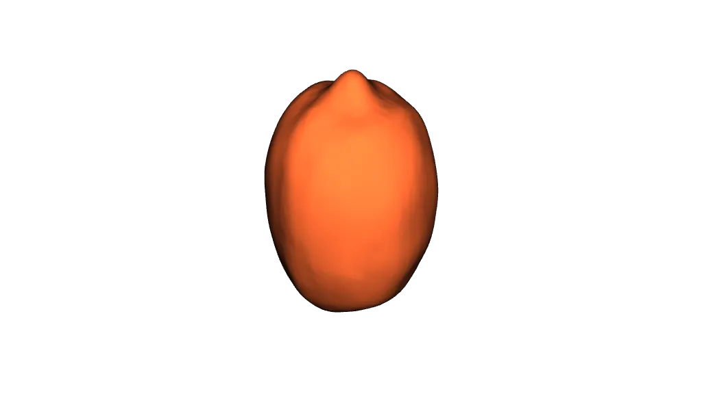 Etrog by Rav Meimad | Download free STL model | Printables.com
