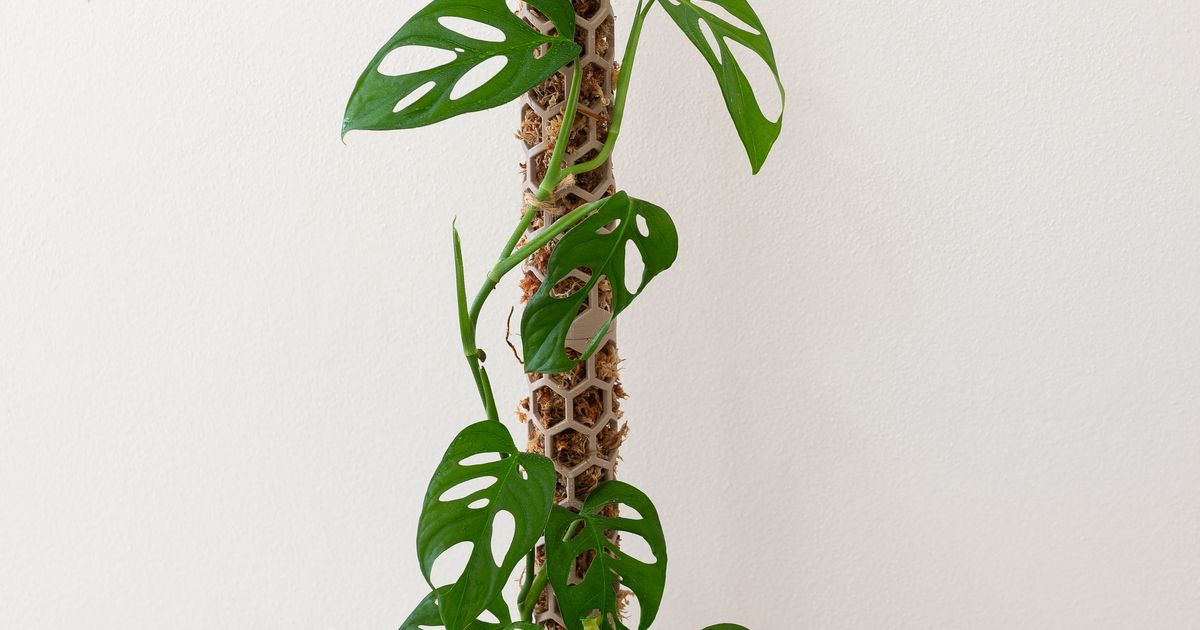 Moss pole by Lukyn3D | Download free STL model | Printables.com