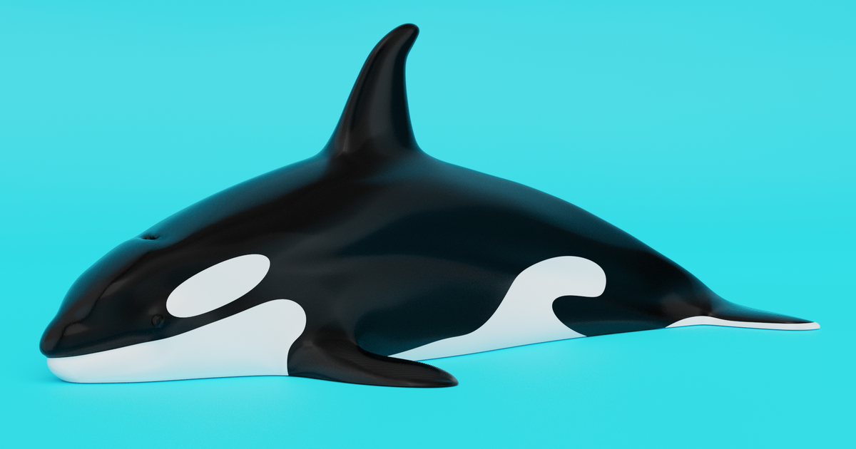 Orca / Killer Whale von JD3D | Kostenloses STL-Modell herunterladen ...
