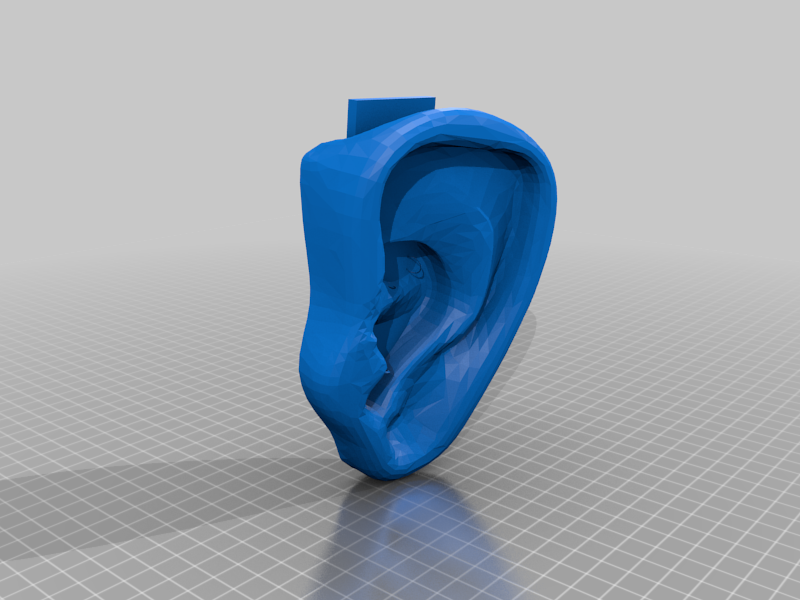 EAR by poppydovedesign | Download free STL model | Printables.com