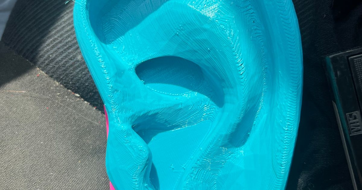 EAR by poppydovedesign | Download free STL model | Printables.com