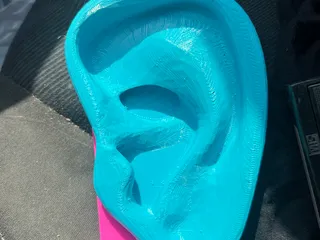 EAR by poppydovedesign | Download free STL model | Printables.com