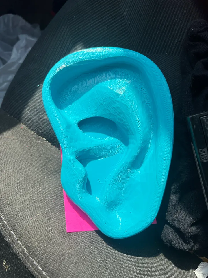 EAR by poppydovedesign | Download free STL model | Printables.com