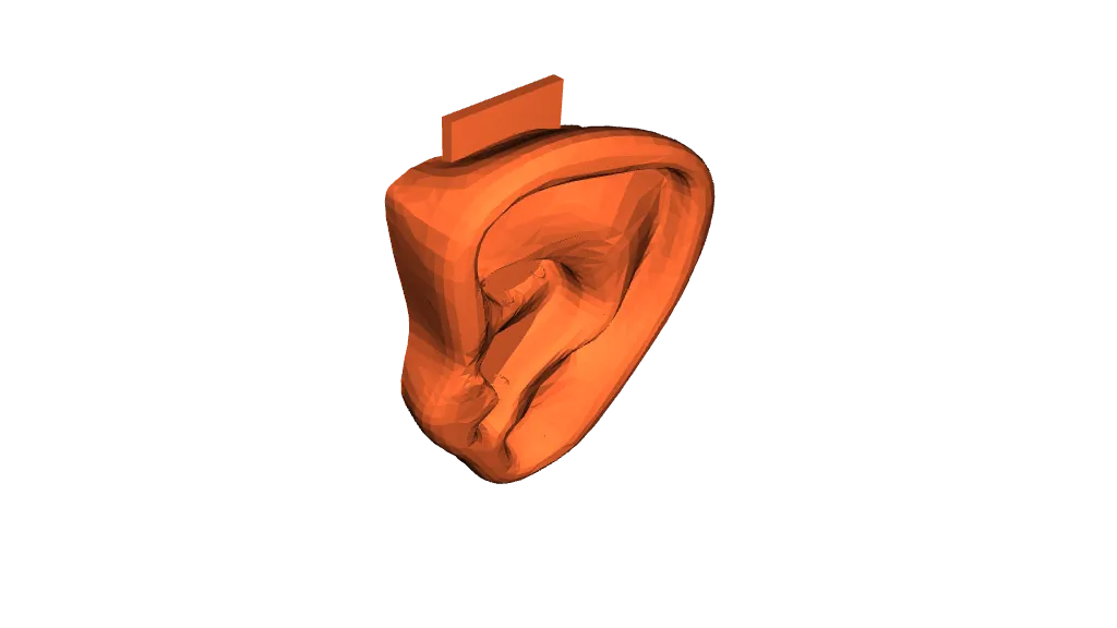 EAR by poppydovedesign | Download free STL model | Printables.com