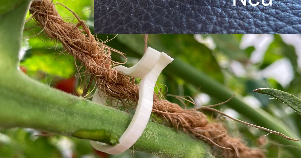 Tomato Clip 2.0. by Leo | Download free STL model | Printables.com