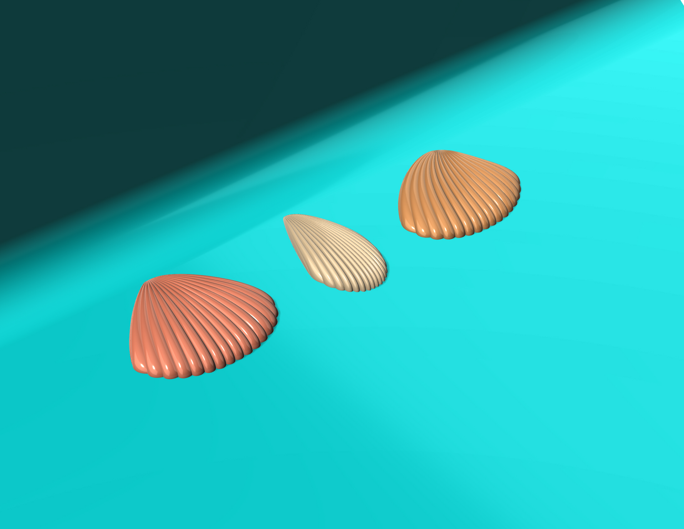 Sea Shells by Pedro Eira | Download free STL model | Printables.com