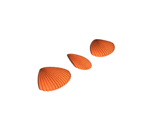 Sea Shells by Pedro Eira | Download free STL model | Printables.com